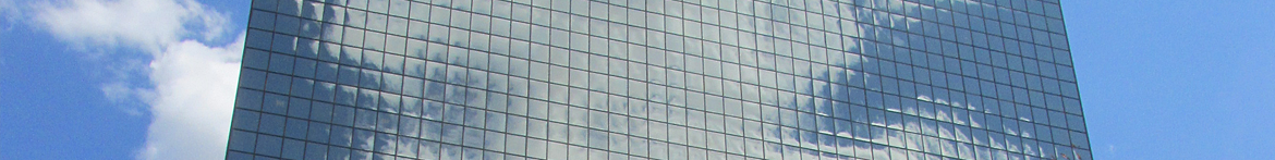 Pages - License Verification